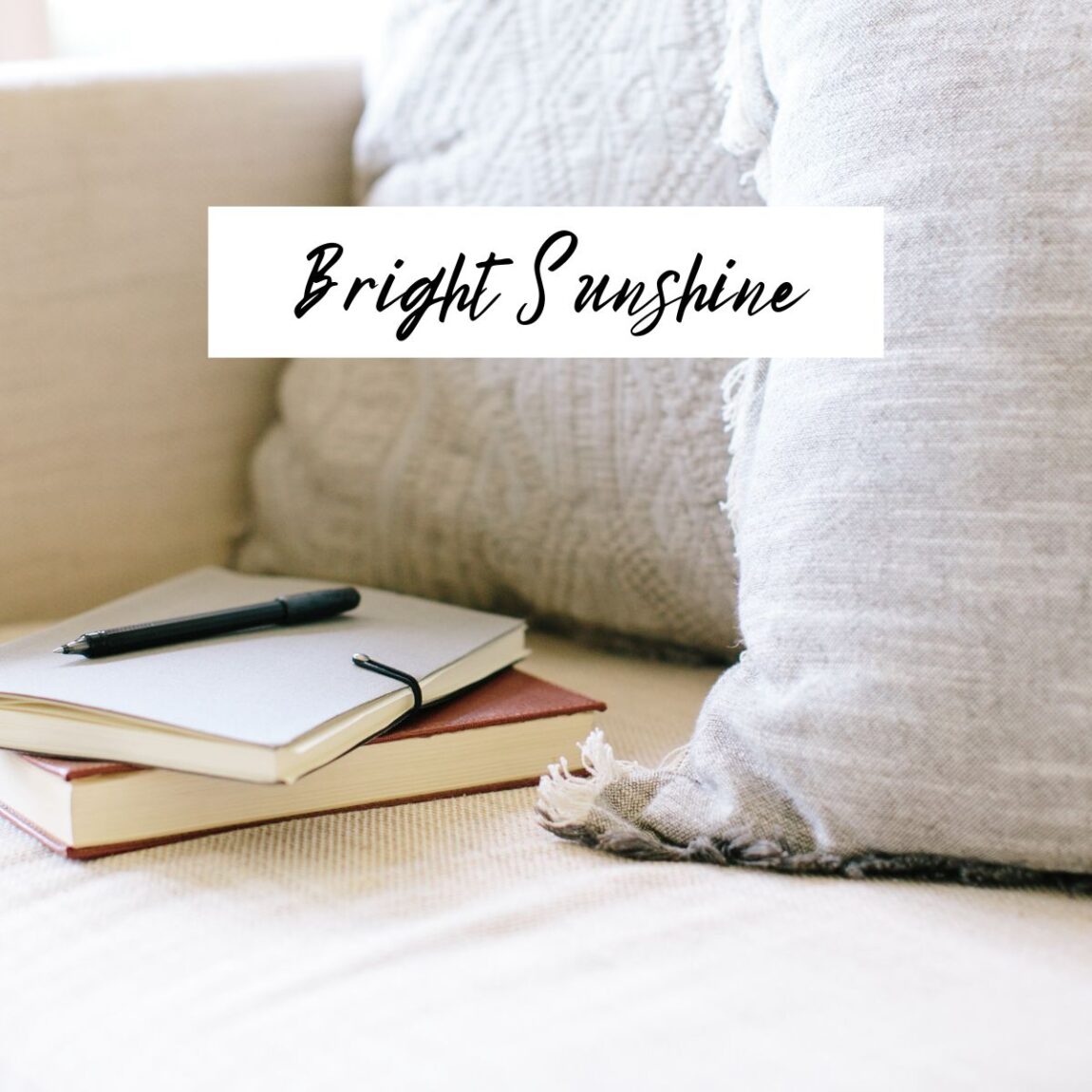 37 Best Cursive and Calligraphy Fonts on Canva (2026)