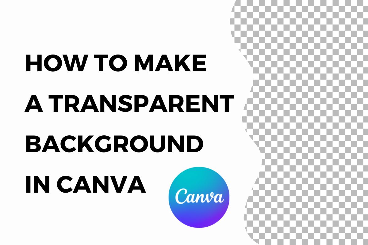 How To Set Up Your Brand Kit In Canva Pro Market With Miranda