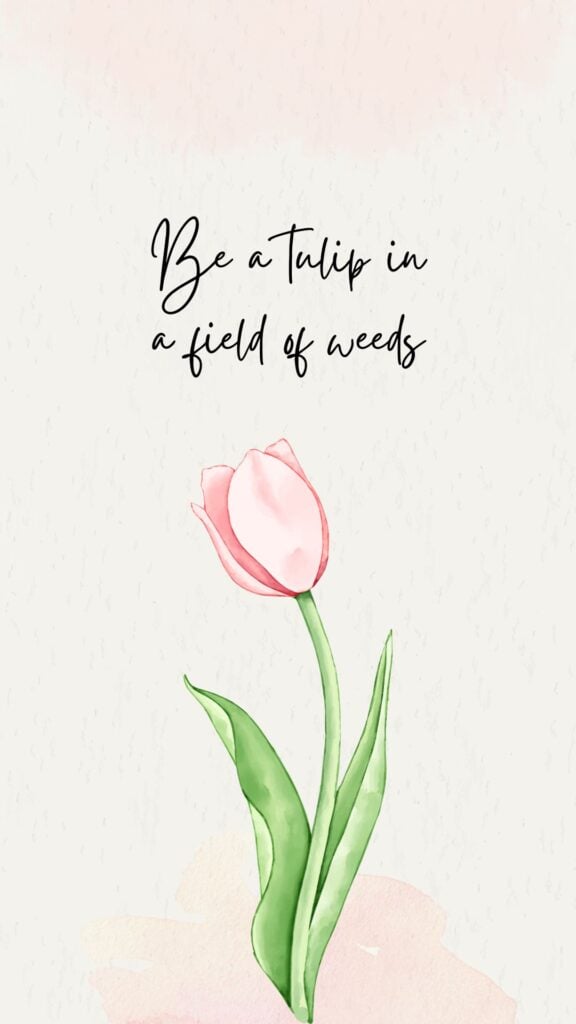 120 Beautiful Tulip Quotes for Instagram Captions (2025)