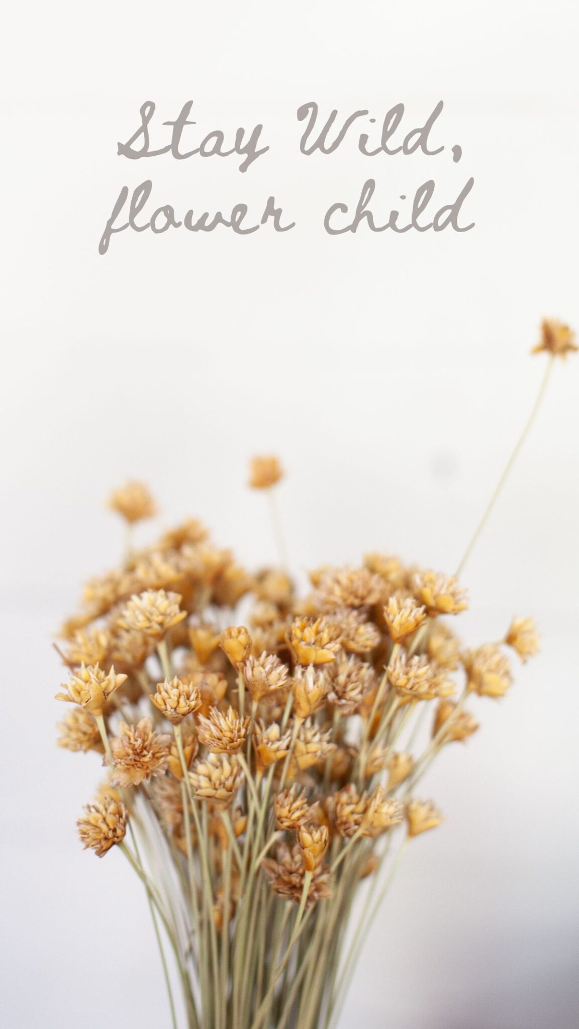 200+ Flower Quotes for Instagram Captions: Inspiring Blooms for Your ...