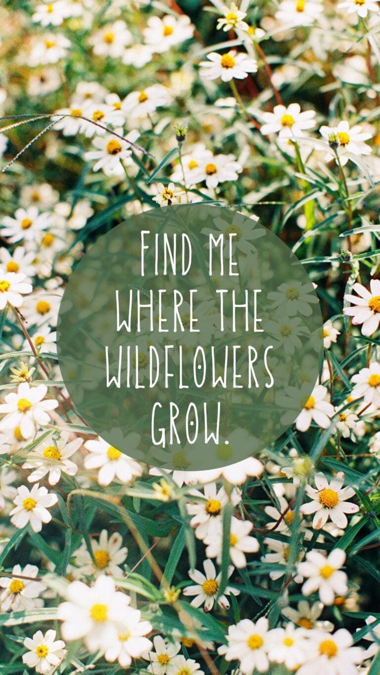 200+ Flower Quotes for Instagram Captions: Inspiring Blooms for Your ...