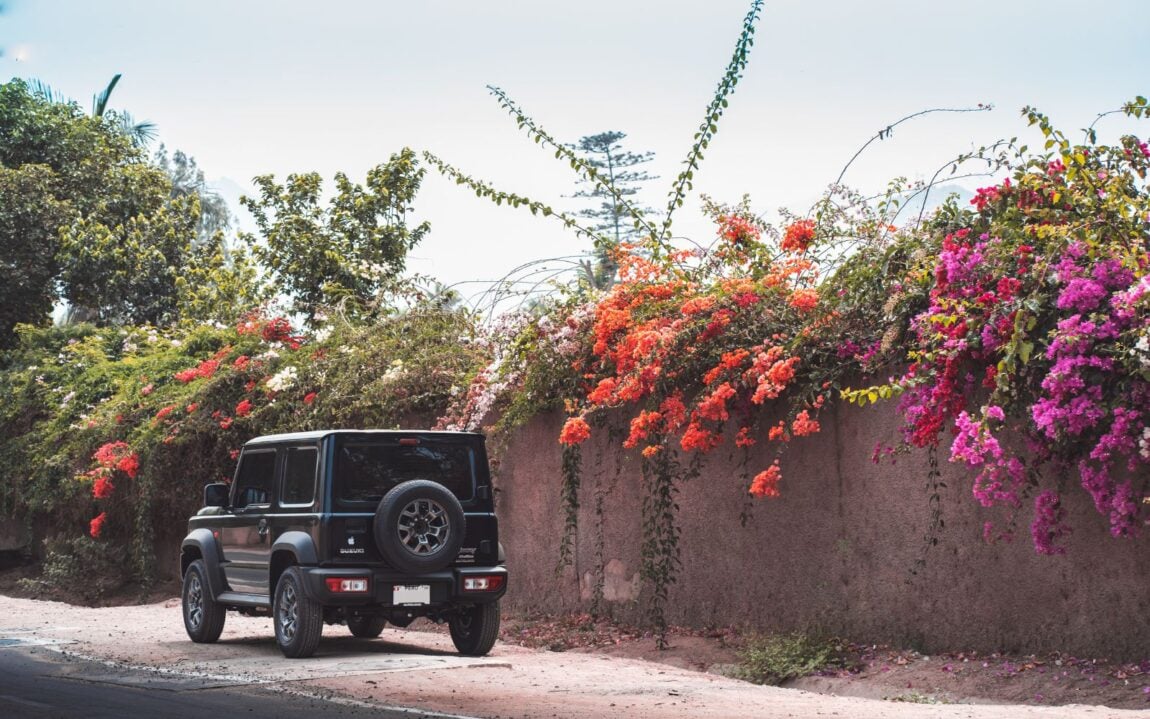 25 Calls to Action for Instagram: CTA Ideas & Examples