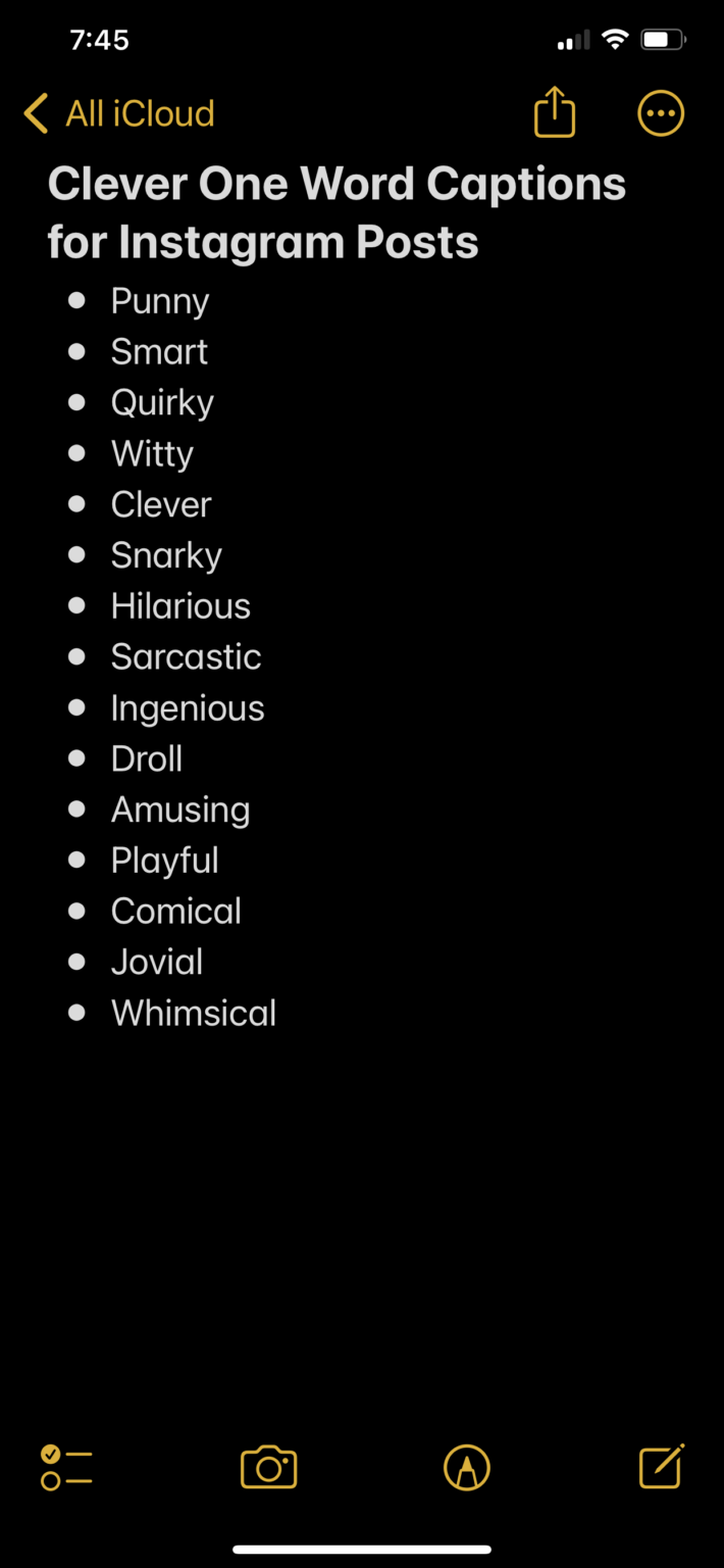 217 Best One Word Captions for Instagram (2026)
