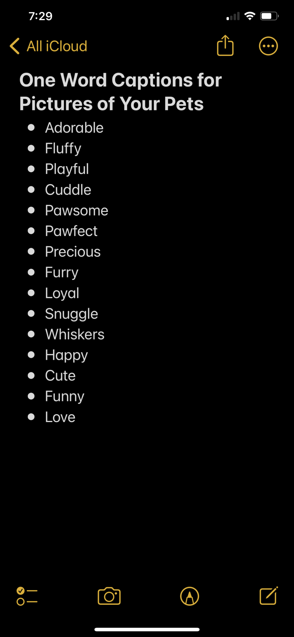 217 Best One Word Captions for Instagram (2026)