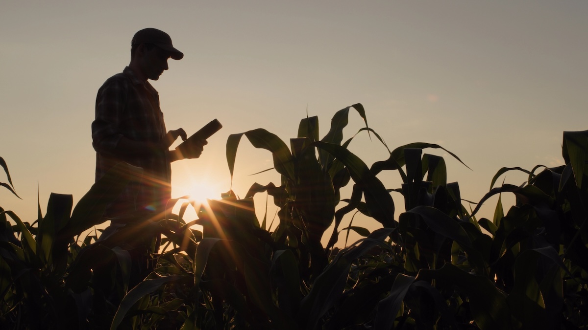 250 Farm Business Names: Memorable Ideas for Your Agricultural Business