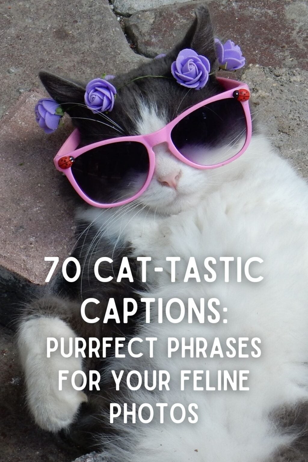 75 July Captions For Instagram Spark Your Summer Posts With These Ideas