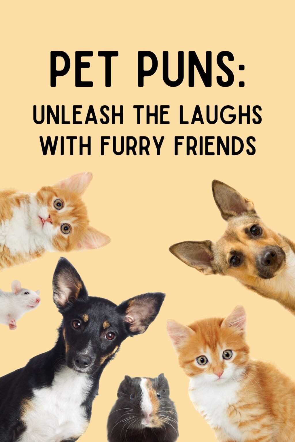 Pet Puns: Unleash the Laughs with Furry Friends